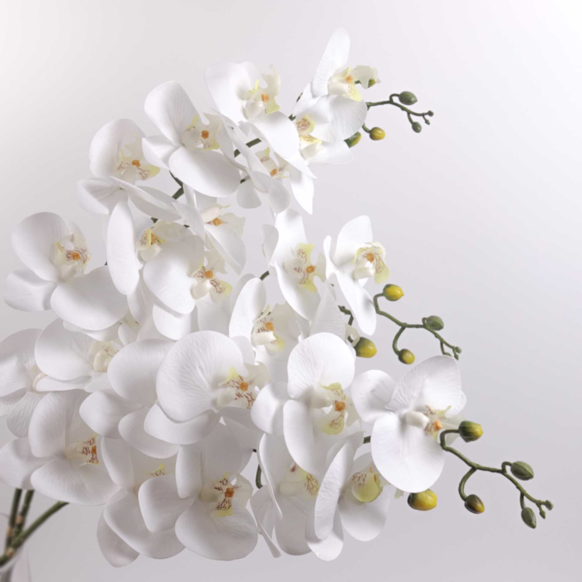 Artificial Orchids & Tropical Flowers Australia | Realistic Exotic ...